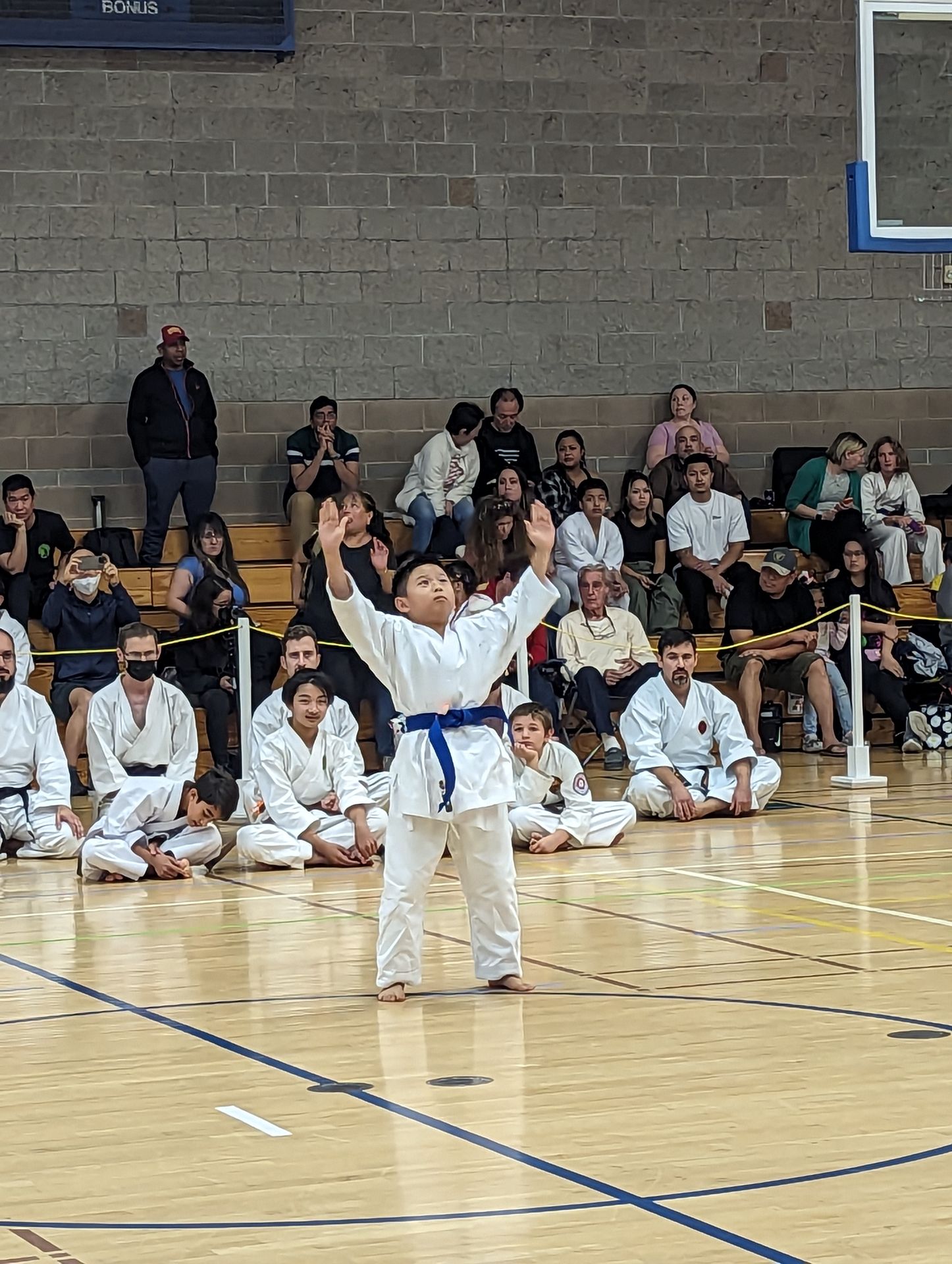 Kyoshin-Ryu Karate | San Jose, CA